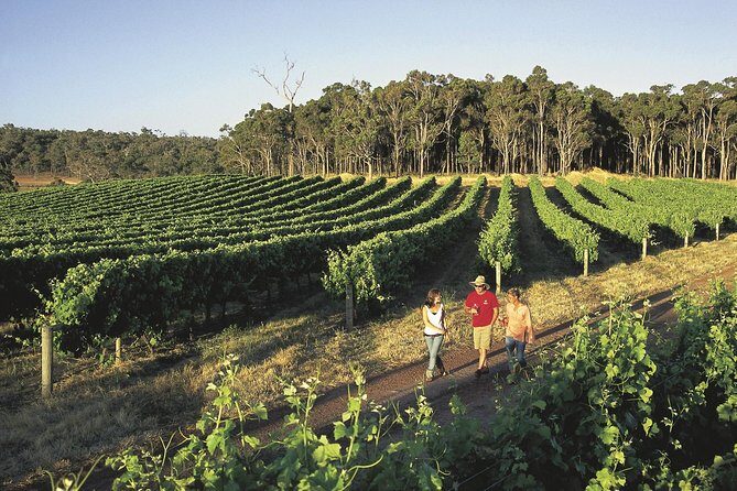 Margaret River, Caves, Wine and Cape Leeuwin Lighthouse Tour from Perth - Overall Value and Who Should Consider This Tour