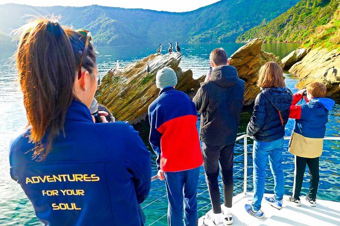 Marlborough Sounds Ultimate Cruise - Analyzing the Value and Practical Aspects