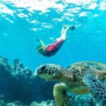 Maui: Kaanapali Beach 5-hr Snorkel w/ BBQ Lunch & Open Bar - An In-Depth Look at the Kaanapali Beach Snorkel Experience