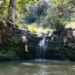 Maui: Rainforest Waterfalls Guided Hike with Picnic Lunch - Who Will Love This Tour?