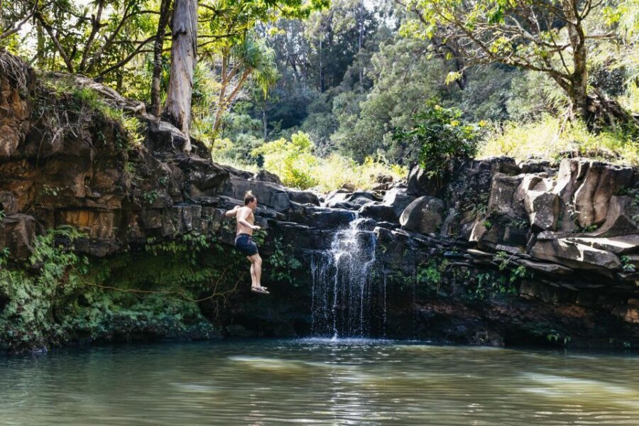 Maui: Rainforest Waterfalls Guided Hike with Picnic Lunch - Who Will Love This Tour?