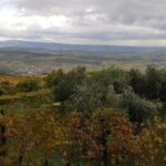 Mazzurega: Winery Tour with Tasting and Food Pairing - The Value and Practical Aspects