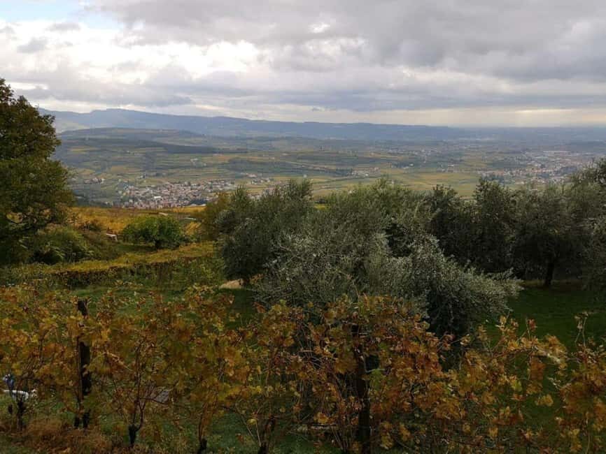 Mazzurega: Winery Tour with Tasting and Food Pairing - The Value and Practical Aspects