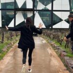 McLaren Vale and Hahndorf Cruise Ship Pickup - Who Will Love This Tour?