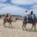 McLaren Vale, Port Elliot and Victor Harbor Minibus Tour - Scenic Highlights and Photo Ops