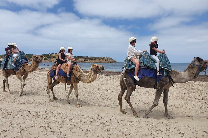 McLaren Vale, Port Elliot and Victor Harbor Minibus Tour - Scenic Highlights and Photo Ops