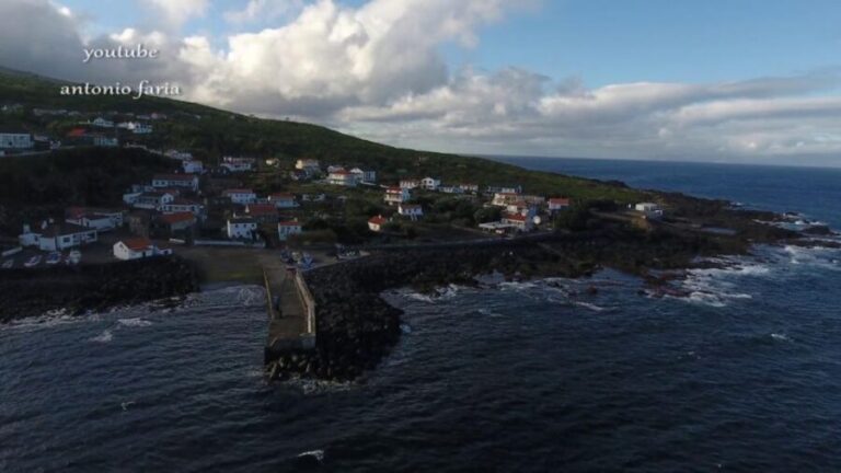 Memória Baleeira - Unforgetable Ride in the waters of Pico - The Real Value of the Tour