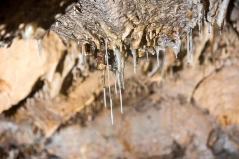 Menorca : Cova de s'Aigua Guided Visit - Who Will Love This Tour?