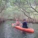 Miami: Beginner-Friendly Island Snorkeling by SUP or Kayak - Detailed Breakdown of the Experience