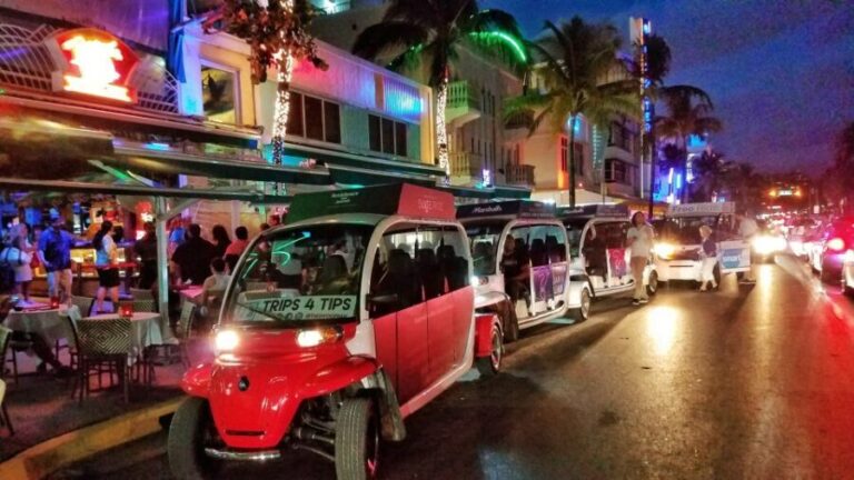 Miami: Discover South Beach Tour - Itinerary: What You’ll See and Do