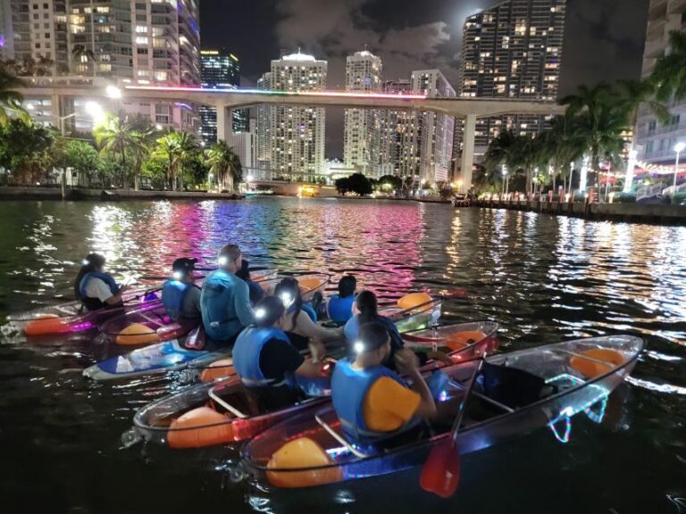 Miami: Guided LED-Lit Kayak Night Tour with Drinks - Value and Pricing