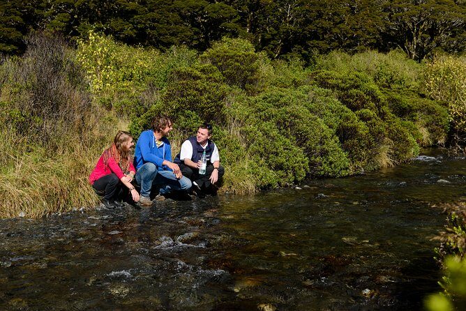 Milford Sound Day Tour with Scenic Cruise from Queenstown - FAQs