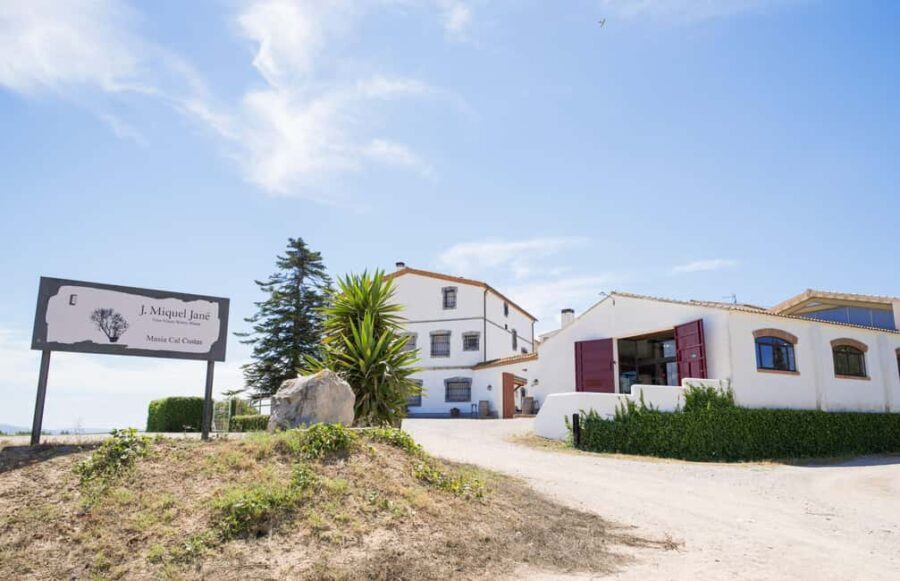 Miquel Jané Winery: tour with audio guide - An In-Depth Look at the Tour