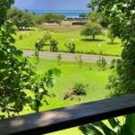 Mirimiri Tours: Visits, Surprises, Swimming and Sunset - The Sum Up