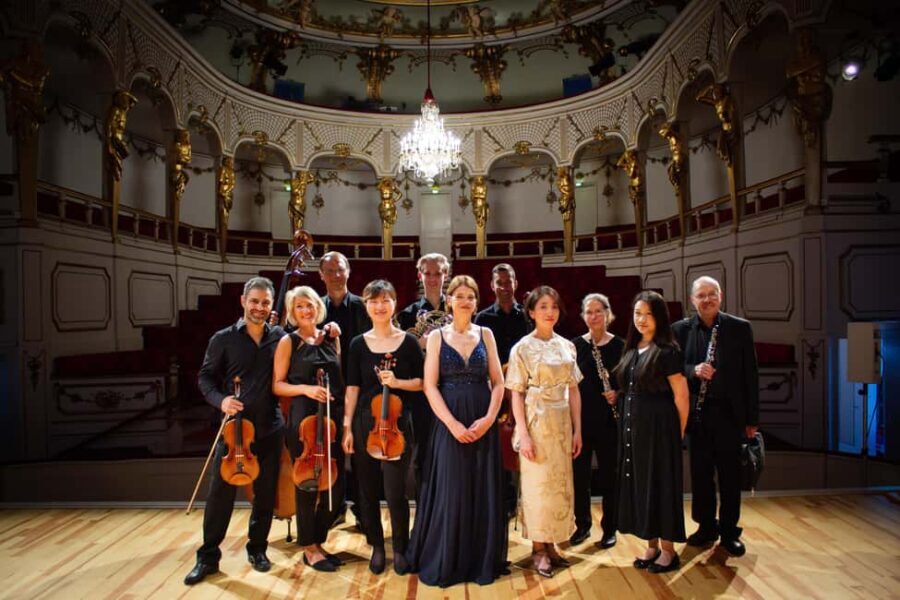 Mirow: Classical concerts at Mirow Castle - What Travelers Can Expect