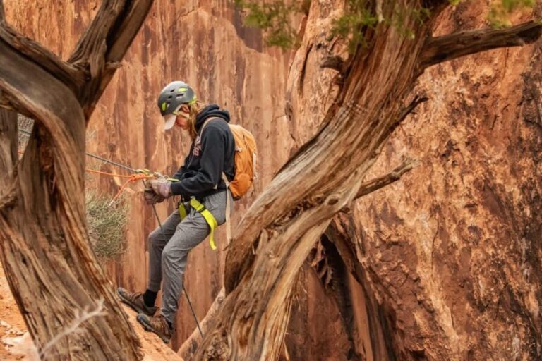 Moab: Fins and Things Canyoneering Adventure tour - What You Can Expect on the Tour