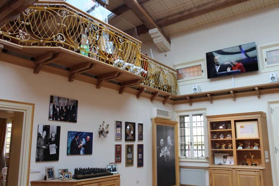 Modena: Discover Ferrari Museum & Pavarotti land - Exploring the Ferrari Museums and Pavarotti Land