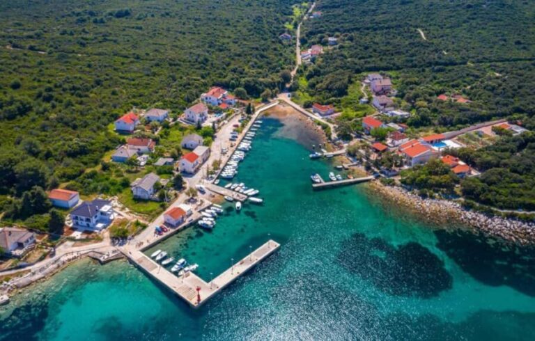 Molat Island Dolphin Watching Boat Tour 6hours TOUR - Swimming and Relaxation on Molat