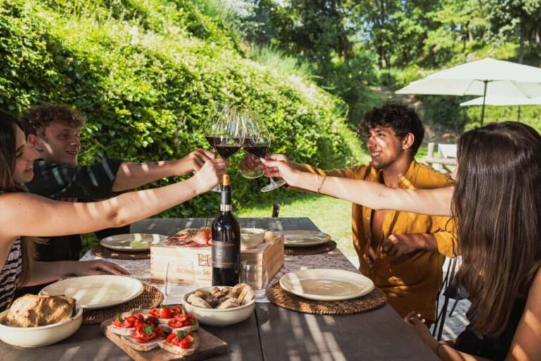 Montalcino: Molino Winery Tour & Wine Tasting - An In-Depth Look at the Molino di SantAntimo Winery Tour