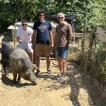 Montepulciano: Pig Farm Tour with Traditional Lunch - The Experience in Detail