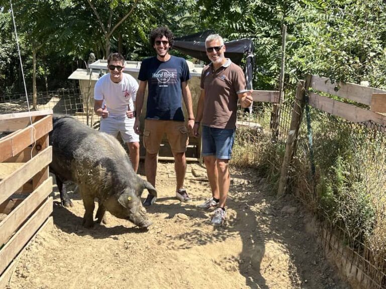 Montepulciano: Pig Farm Tour with Traditional Lunch - The Experience in Detail