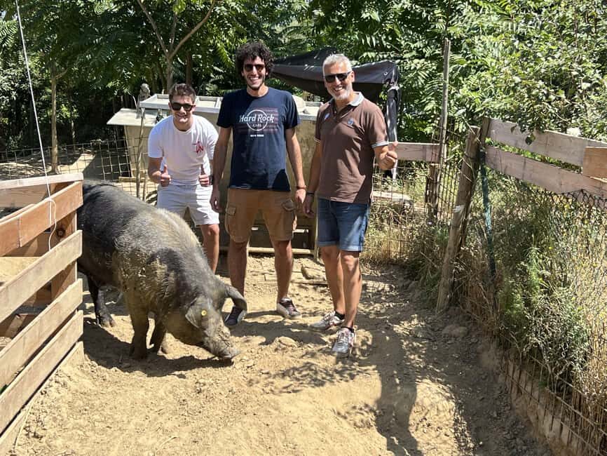 Montepulciano: Pig Farm Tour with Traditional Lunch - The Experience in Detail