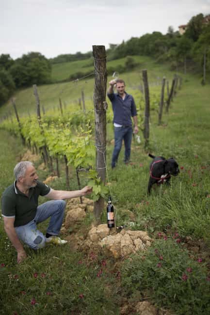 MONTEPULCIANO TASTE OF TUSCANY HEROIC WINES, CRU&LIMITED ED. - Analyzing the Valuation: Is It Worth $70?