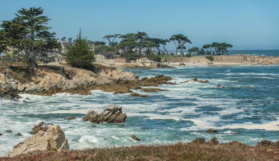 Monterey Peninsula Sightseeing Tour including 17 Mile Drive - Who Is This Tour Best For?
