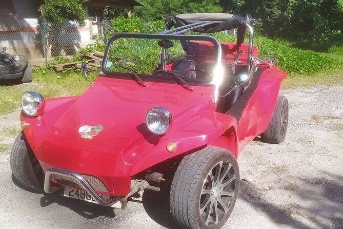 Moorea Buggy Rental - The Value of Freedom