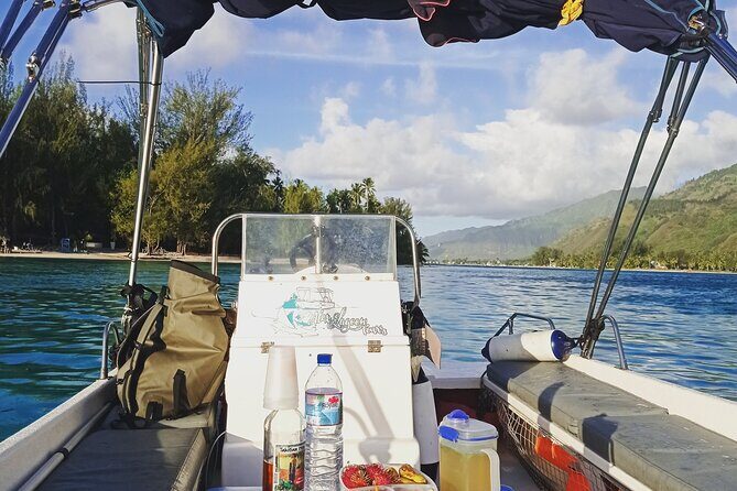 Mo'orea Half Day Private Tour with Snorkeling and Cruising the Lagoon - Final Thoughts: The Value of a Private Marine Adventure