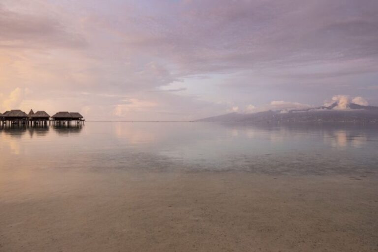 Moorea Highligts: Blue Lagoon Shore Attractions and Lookouts - Diving Into the Full-Day Moorea Experience