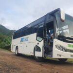 Moorea Island Tour - What Reviewers Say