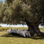 Morgado do Quintão Lunch and Wine Tasting - Discovering Morgado do Quintão: An Algarve Gem