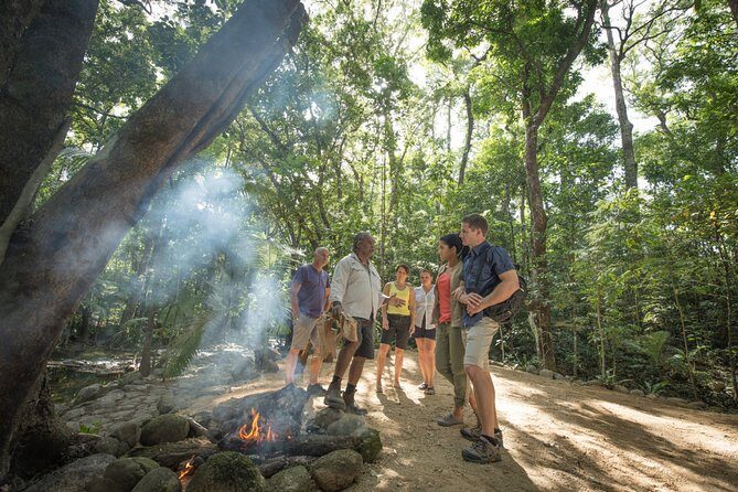 Mossman Gorge Adventure Day - A Detailed Breakdown of the Itinerary
