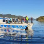 Motuara Wildlife Sanctuary Tour and Dolphin Cruise from Picton - Analyzing the Value