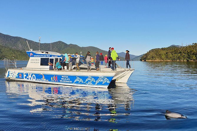 Motuara Wildlife Sanctuary Tour and Dolphin Cruise from Picton - Analyzing the Value