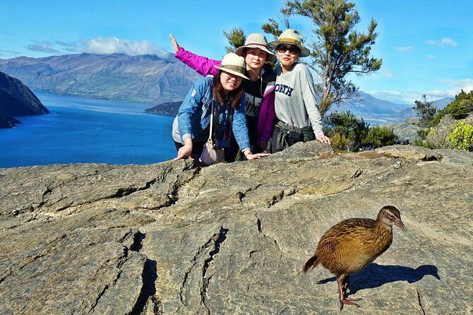 Mou Waho Island Cruise and Guided Nature Walk - Authentic Experiences and Traveler Feedback