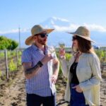 Mt. Ararat: Wine Tasting & Dinner at Tushpa Winery - Who Will This Experience Suit?