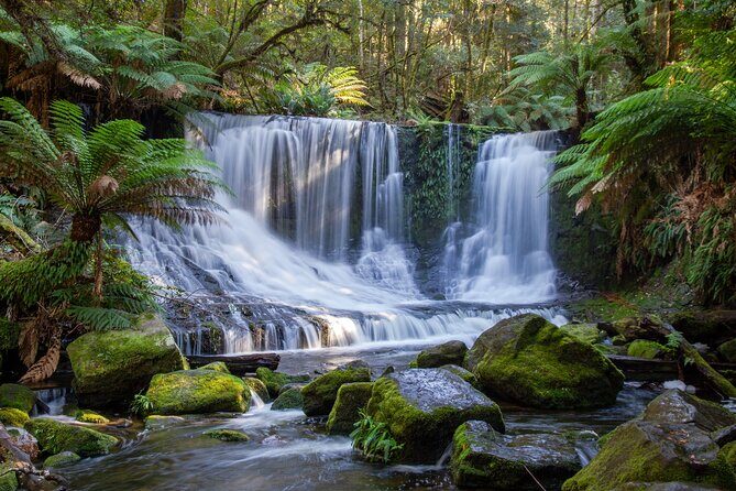 Mt Field National Park and Russell Falls from Hobart - What Travelers Say: Authentic Voices