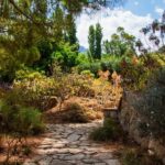 MUCBO | Jardí Botànic de Sóller - Balearic Museum of Natural Sciences - Is It Worth It? Analyzing the Value