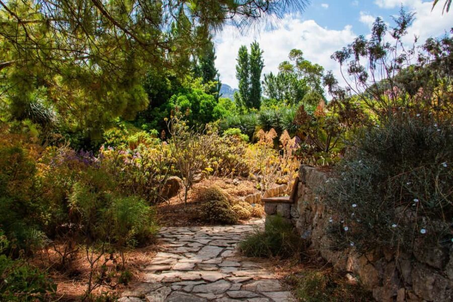 MUCBO | Jardí Botànic de Sóller - Balearic Museum of Natural Sciences - Is It Worth It? Analyzing the Value