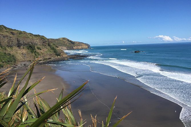 Muriwai Scenic Wine Tour from Auckland - What the Experience Feels Like