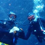 My First Scuba Dive into the Ocean from Terceira - Azores - What to Expect in Terms of Marine Environment