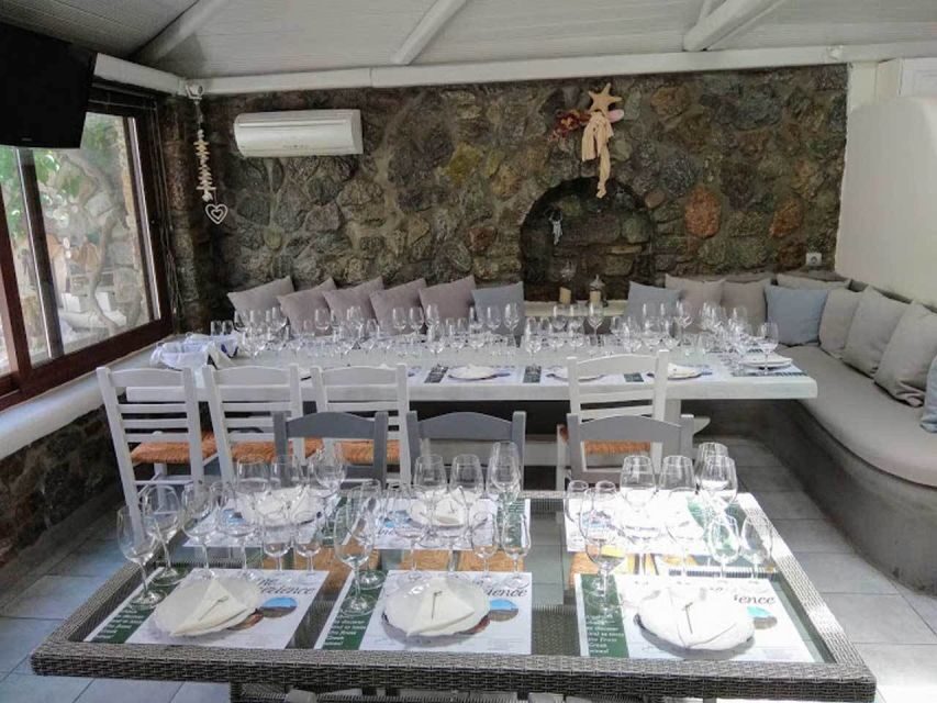 Mykonos: Half-Day Wine Tasting and Snack at a Local House - Why It’s a Great Choice
