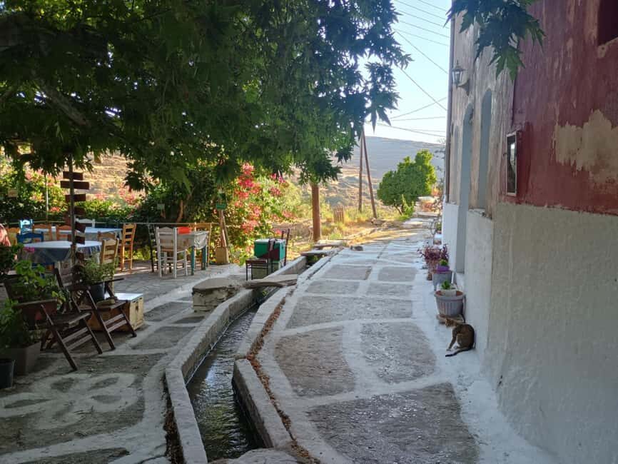 Myli: Beekeeping Secrets Guided Tour with Traditional Meze - FAQ