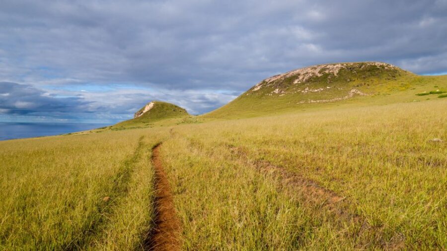 Mystery of the Poike:Walk through the most unknown Rapa Nui - Why Choose This Tour?