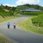 Napier: Cape Coast Winery Tour on Pedal or E-Bikes - The Itinerary in Detail