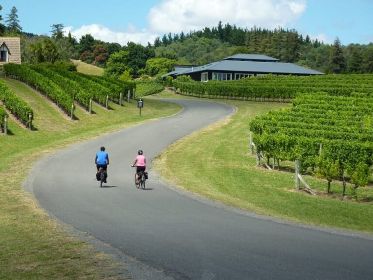 Napier: Cape Coast Winery Tour on Pedal or E-Bikes - The Itinerary in Detail