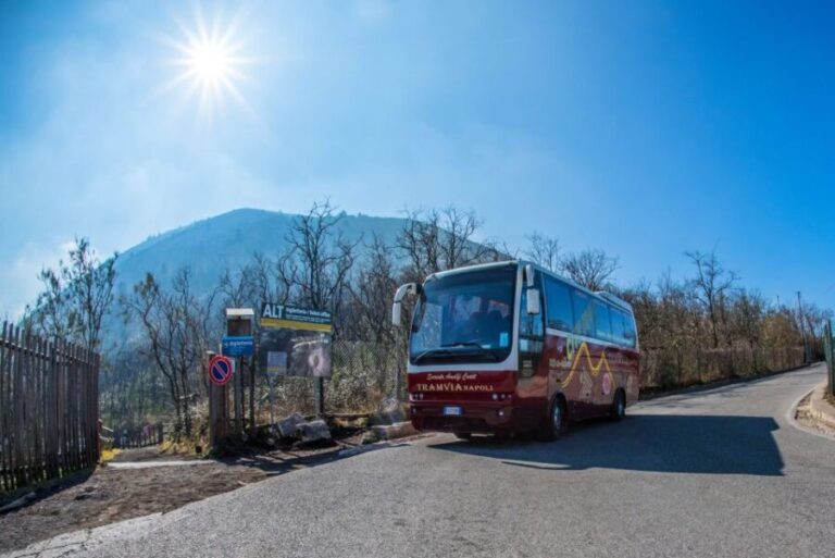 Naples Bus Excursion: Explore Vesuvius On Your Own - An In-Depth Look at the Vesuvius Bus Excursion