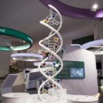 Naples: Città della Scienza Interactive Museum Entry Ticket - The Itinerary: What Can You Expect?